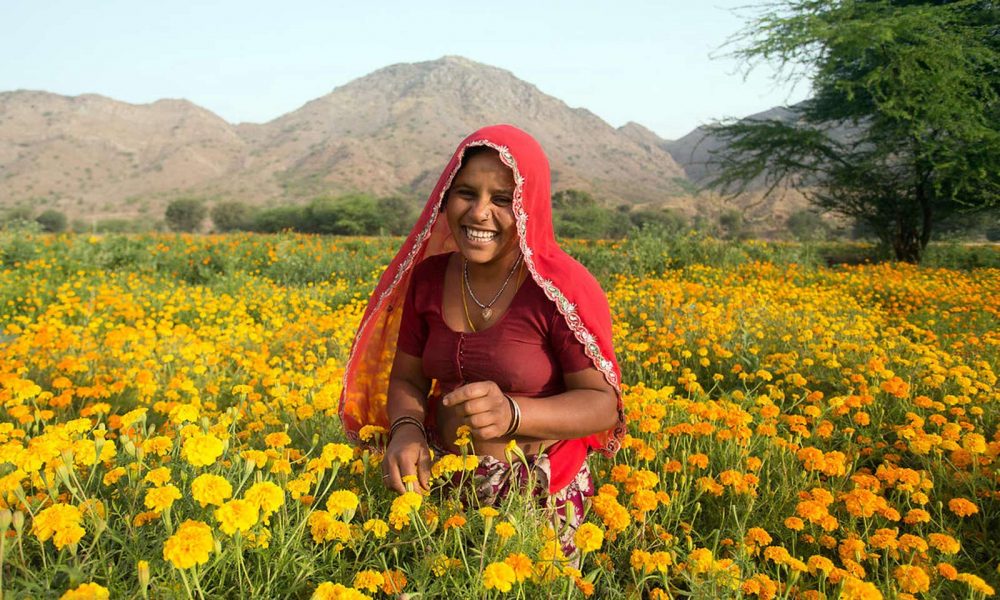 Matrudatta Mohanty's odia story Duhkha Tolaa